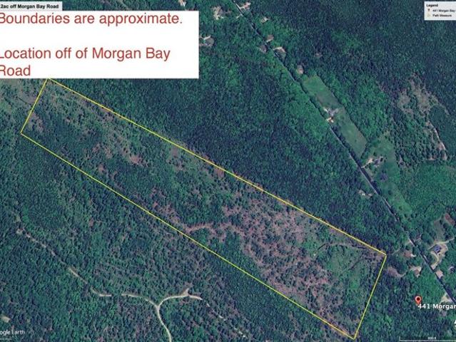 a Morgan Bay Rd, Surry, Plot For Sale