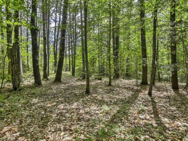 A And B Camp Rd, Amherst, Plot For Sale