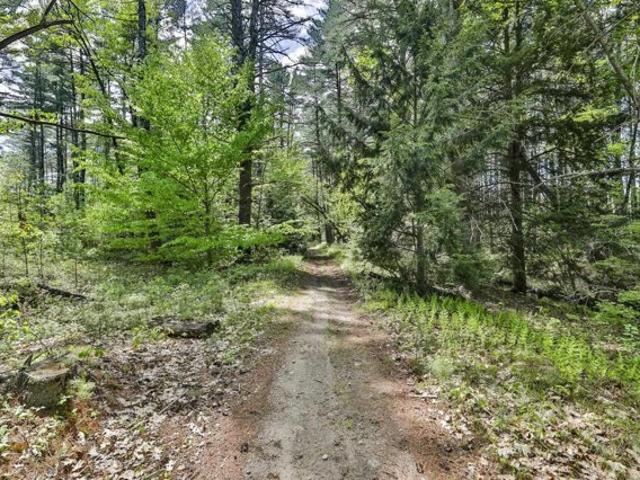 A And B Camp Rd, Amherst, Plot For Sale
