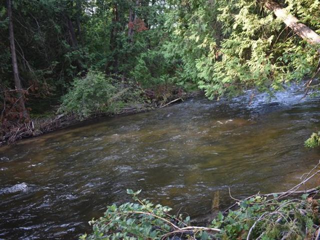 A and D 8993 S Straits Hwy, Wolverine, MI 49799