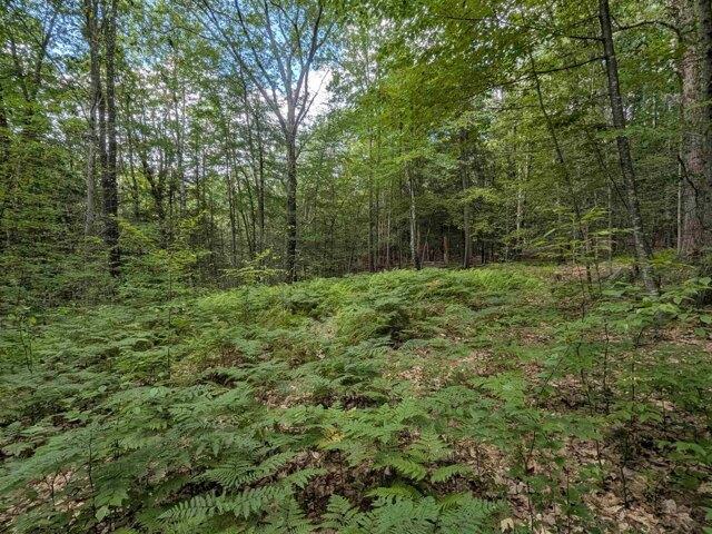A Burton Hwy, Wilton, Plot For Sale