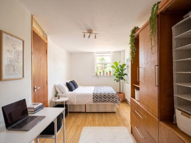 A beautiful studio flat in West Green Road N15