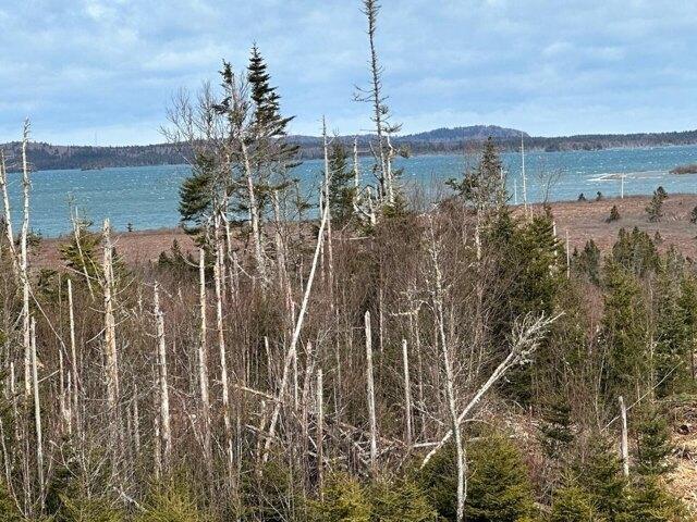 A Blackwood Ln, Lubec, Plot For Sale