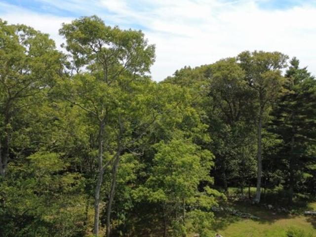 A Davis Look Rd, West Tisbury, Plot For Sale