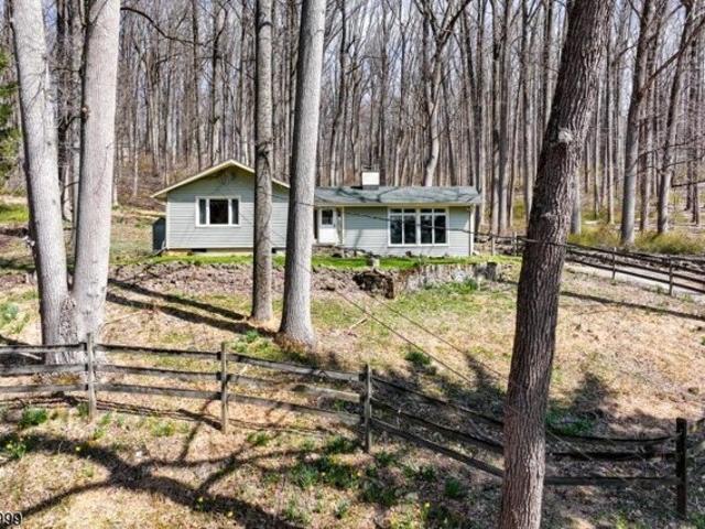 A Dreahook Rd, Readington Twp, Home For Sale