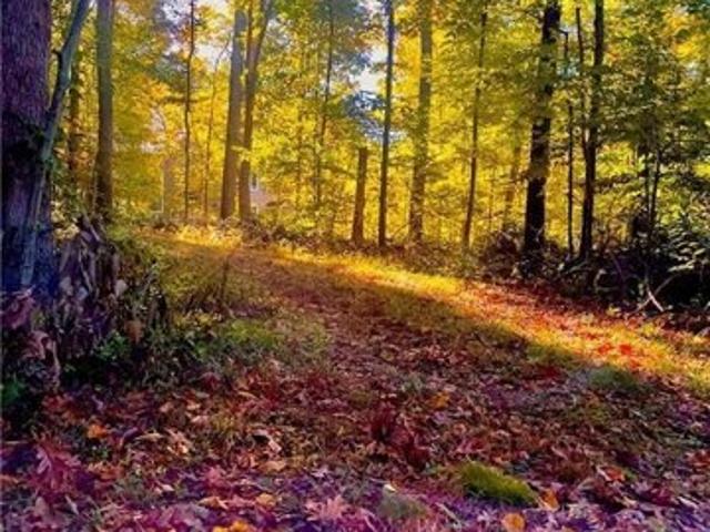 a Flat Rock Hill Rd, Old Lyme, Plot For Sale
