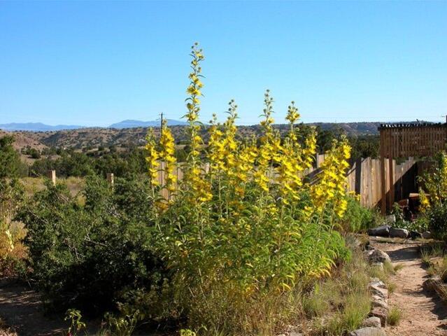 A Goldmine Unit A, Cerrillos, Plot For Sale