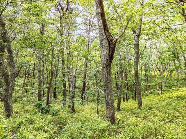 A Higgins Hollow Rd, Truro, Plot For Sale