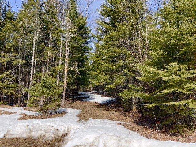 / a Kendall Farm Trl, Dallas Plt, Plot For Sale