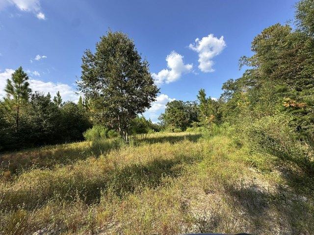 A, Laurel Hill, FL 32567