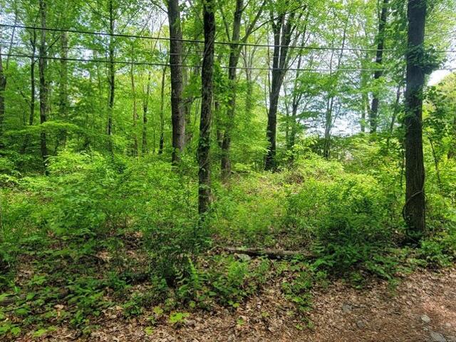 A Laurel Point Dr, Montville, Plot For Sale