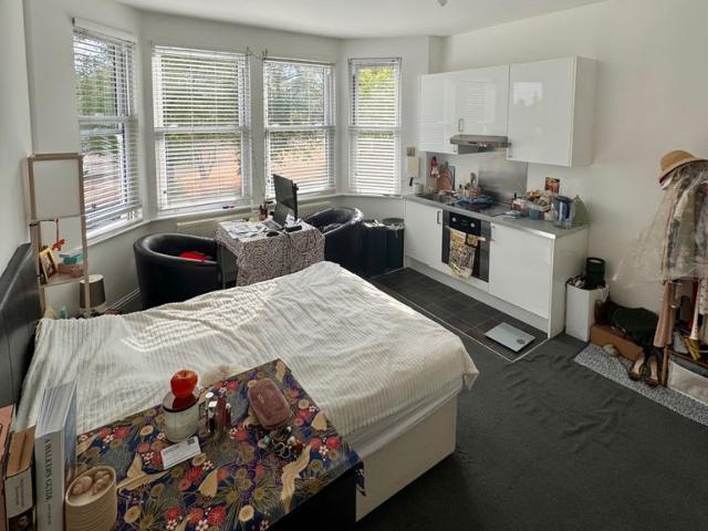 A lovely studio overlooking Ealing Common