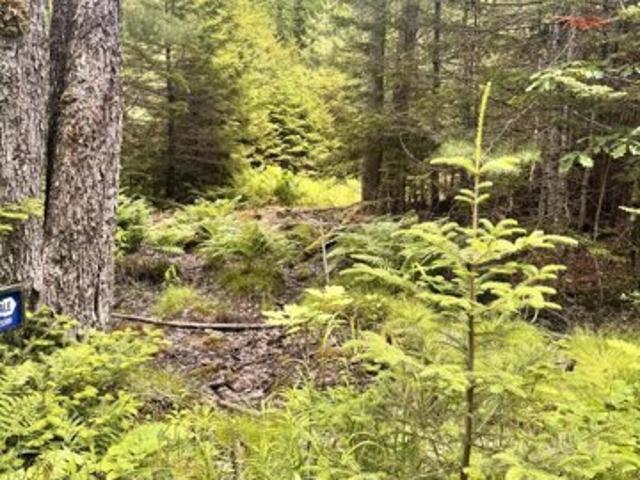 A Pierces Pond Rd, Penobscot, Plot For Sale