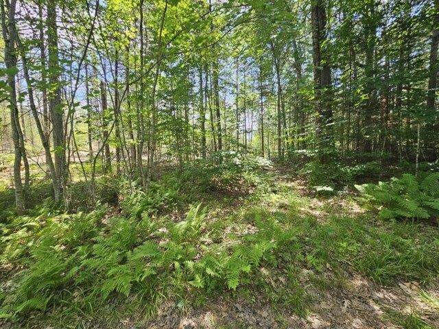 A Quaker Ridge Rd, Leeds, Plot For Sale