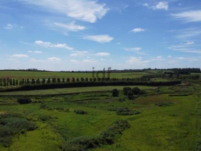Área Residencial/Comercial no KM 103 da Castelo Branco em Porto Feliz/SP