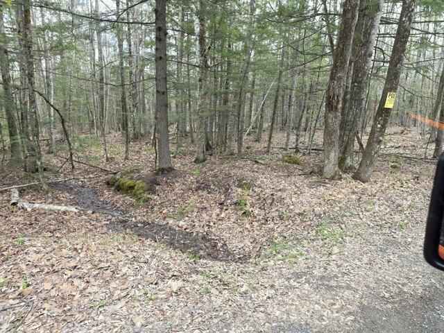 A Redcedar Ln, Sidney, Plot For Sale