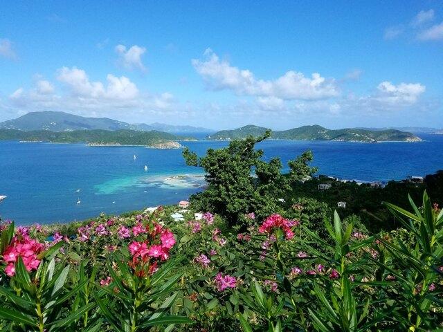 A St Quaco And Zimmerman, Saint John, Plot For Sale