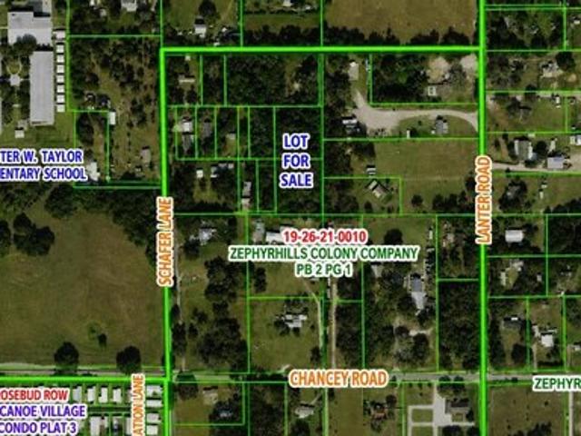 A St, Zephyrhills, FL 33542