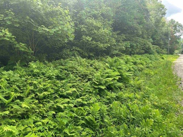 A Sylvan Ridge Rd, Winhall, Plot For Sale