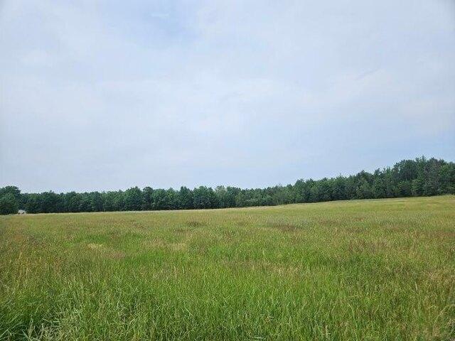 a Snakeroot Rd, Pittsfield, Plot For Sale