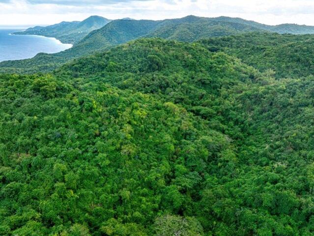 A Spring Gdn # Na, Saint Croix, Plot For Sale