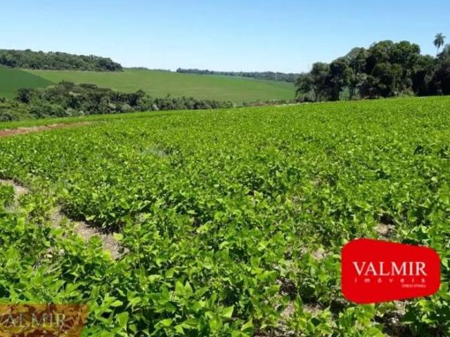 À VENDA NO BAIRRO FRARON TE2222
