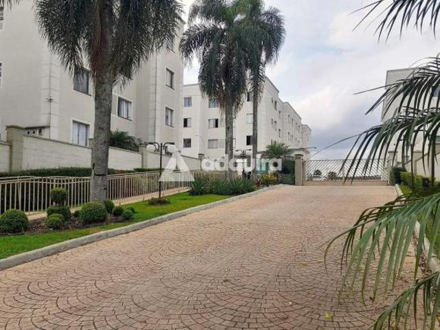 à venda, Oficinas, Ponta Grossa, PR