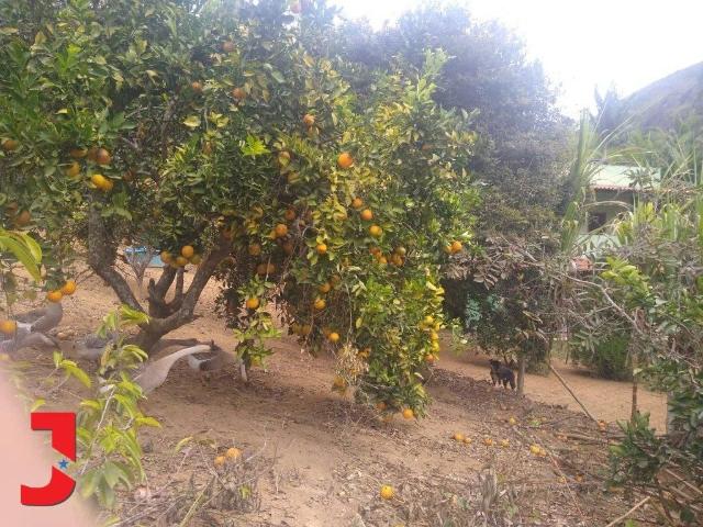 à venda Casa de campo de alto padrão, Domingos Martins, Brasil