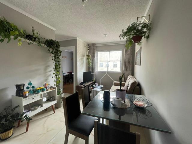 À venda e aluguel apartamento 52 m² 2 quartos Jardim São Savério SP