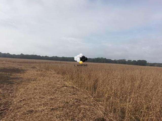 A Venda Fazenda Área Rural em Cristal RS 214 Hectares Soja e Pecuária
