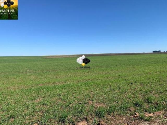 A Venda Fazenda em Alegrete Excelente Área Agrícola