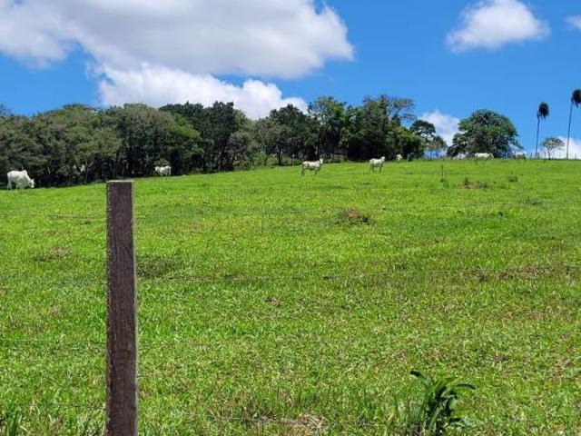 À venda sítio em Muzambo Grande em Muzambinho
