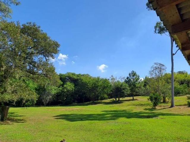 À Venda: Sítio para Ampla Conexão com a Natureza