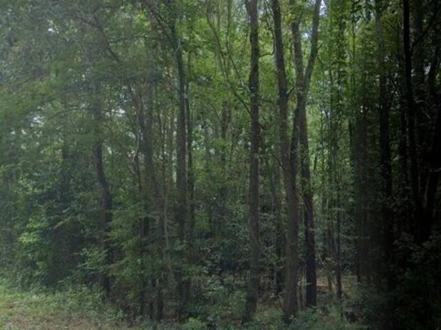 A Woodberry Ln, North Augusta, Plot For Sale