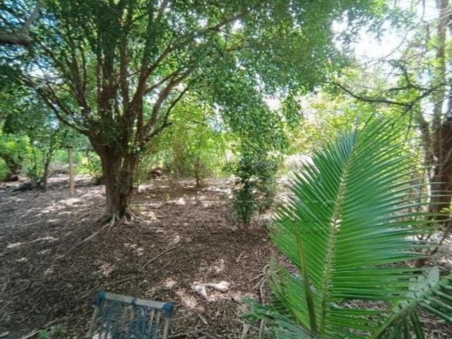 A Zona Norte é uma das regiões que mais se desenvolvem em Sorocaba, oferecendo infraestrutura comple