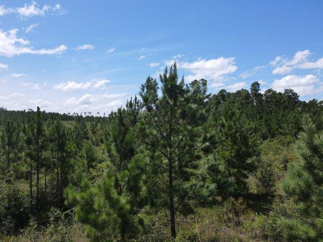 A 12 Silas Dr, Milton, FL 32570