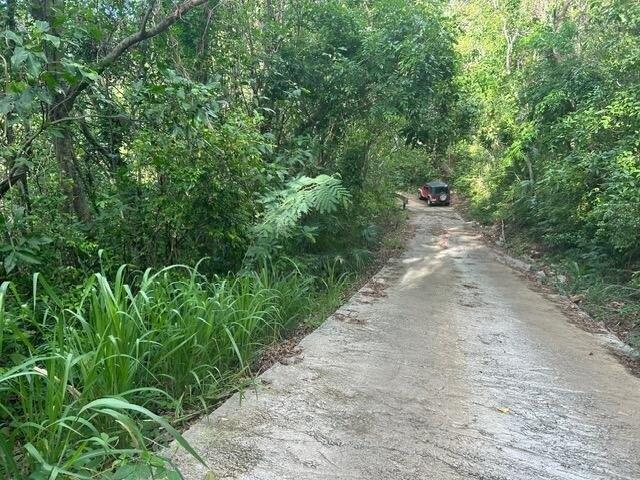 Ac Ac Misgunst Gns, Saint Thomas, Plot For Sale