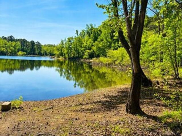 Ac Burwell Ln, Clarksville, Plot For Sale