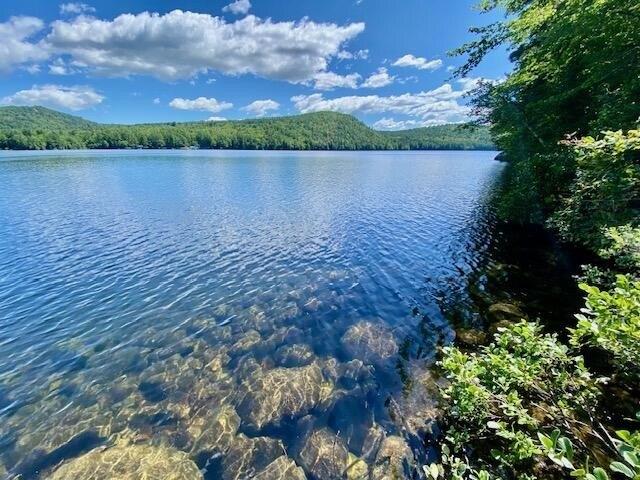 Ac Colcord Pond Rd, Porter, Plot For Sale