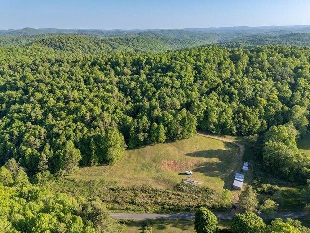 Ac Dugspur Rd Lot,dugspur, Plot For Sale
