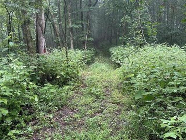 Ac Elbow Bend Rd, Tompkinsville, KY 42167