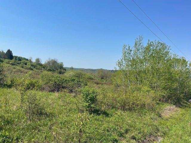 Acorn Ln, Oxford, NY 13733