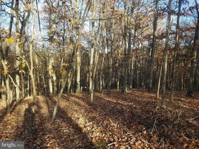 Acorn Ln, Romney, WV 26757