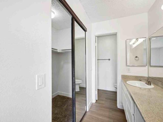 Acacia Park Apartments 1 Bedroom Apartment for Rent at 5280 Little Mountain Dr, San Bernardino, CA 92407 University