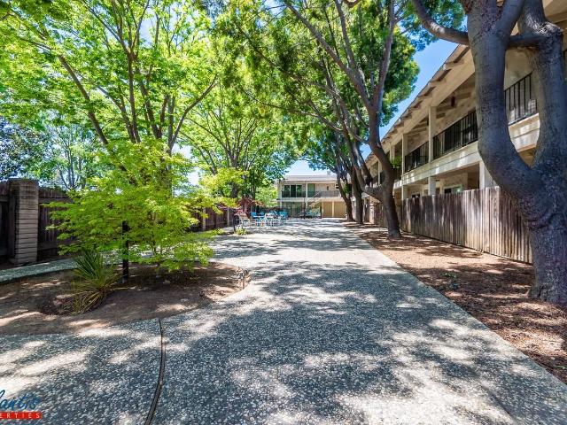 Acalanes 199 2 Bedroom Apartment for Rent at 199 Acalanes Dr, Sunnyvale, CA 94086 Sunnyvale West