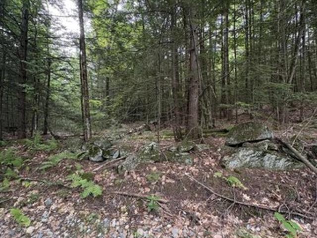Access Lot Map 18A Rd Lot 15, Chesterfield, NH 03462