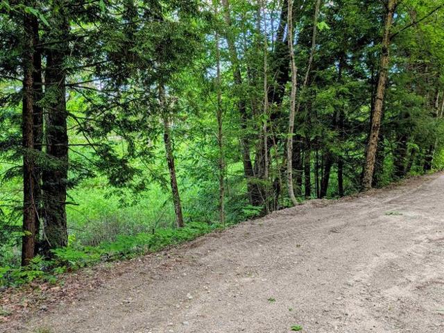 Access Rd, Wakefield, NH 03887