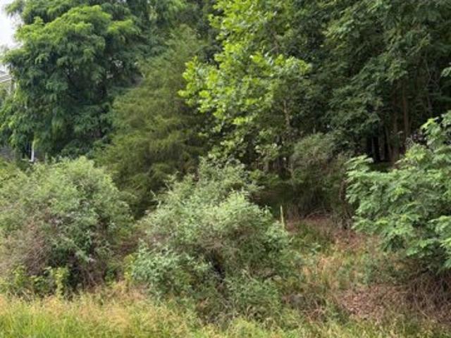 Accipiter Dr, New Market, Plot For Sale