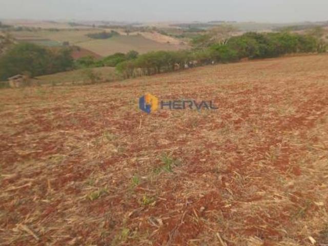 Aceita troca Terreno à venda, 24200 m² por R$ 880.000 Zona Rural Paiçandu/Paraná