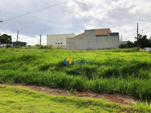 Aceita troca Terreno à venda, 565 m² por R$ 1.100.000 Jardim Universitário Maringá/PR